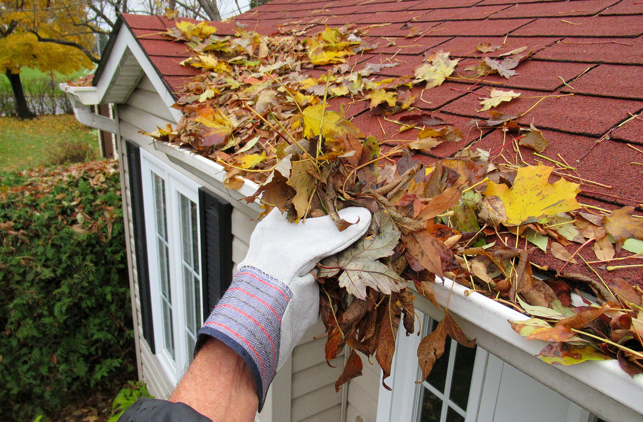 What Hazards do Homeowners Face in Autumn? - Brooks, Todd & McNeil